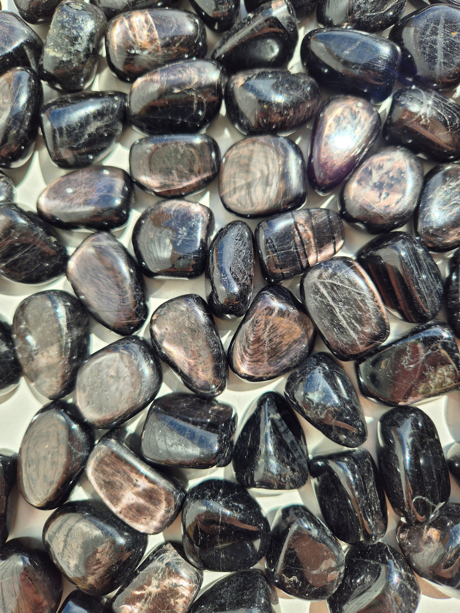Hypersthene Tumbled Stones 1KG – Aquarius Crystals